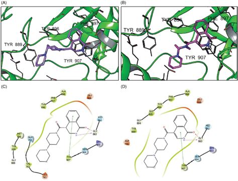 Binding Poses Of Compounds 3 L A And 11 B With Parp1 And The