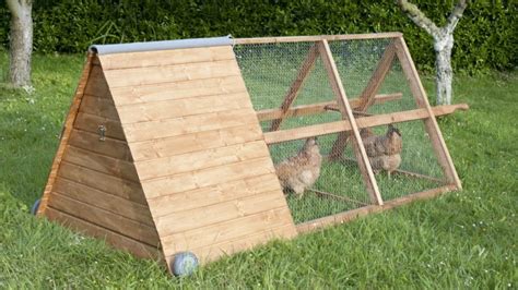 Cómo Hacer Un Gallinero En Tu Jardín