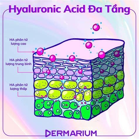 Cấp ẩm đa Tầng Với Hyaluronic Acid đa Phân Tử Dermarium