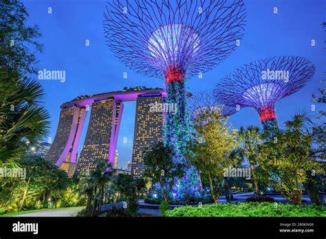 Illuminated Marina Bay Sands And Supertrees In Garden Of The Bay