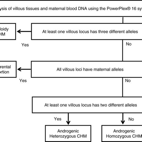 Algorithm For Genetic Classification Of Hydatidiform Moles Maternal