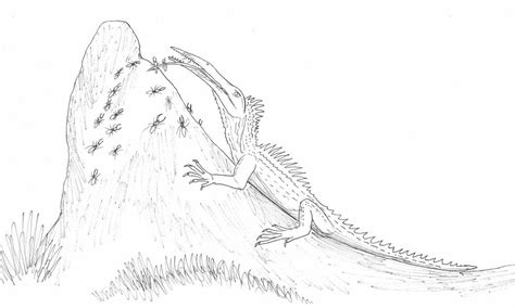 Spectember Day 15 Insectivore By Noahsaurus51 On Deviantart