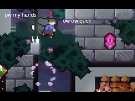 Nelumbo At 14x Speed Youtube