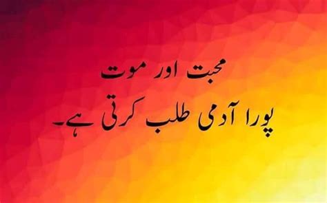 Muhammad Alee On Linkedin 🙄🤨😐😶fact🤔🙄🤨😐