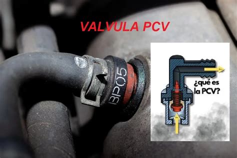 Función De La Válvula Pcv Y Posibles Fallas