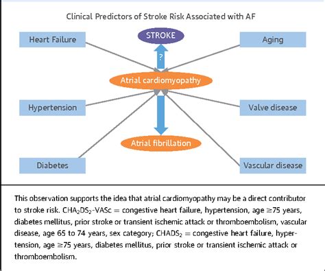 Atrial Cardiomyopathy Semantic Scholar