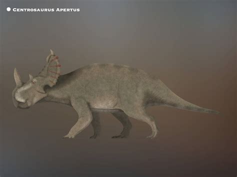 Centrosaurus Apertus Paleohistoric By Paleohistoric On Deviantart