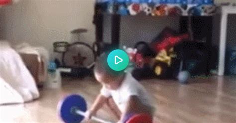 Not To Be Messed With  On Imgur