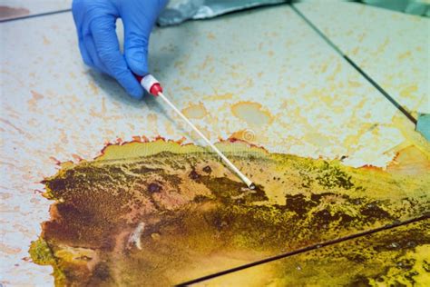 Técnicos Forenses Toman Muestras De Adn De La Mancha De Sangre Con