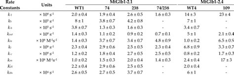 Microscopic Rate Constants From The Fit Of Pump Probe Data At Room