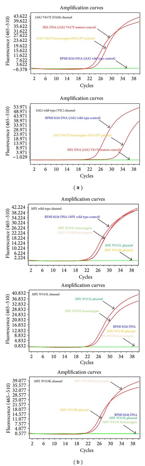 Taqman Probe Qpcr Assay For Jak2 V617f And Mpl W515l K Mutation A