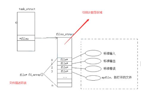 【linux】认识linux内核中进程级别的文件结构体【filesstruct】＆文件io模型初步演示 腾讯云开发者社区 腾讯云