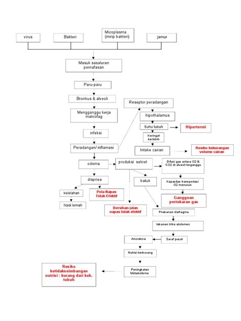 Pathway Pneumonia