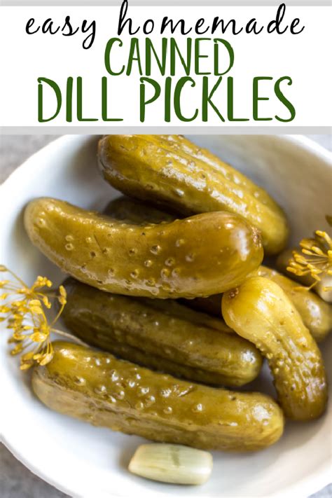 Homemade Garlic Dill Pickles A Canning Recipe Artofit