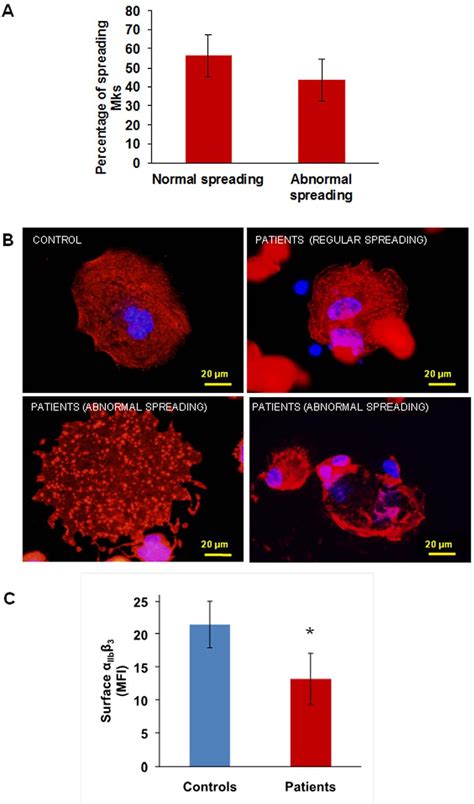 Platelet Maturation Semantic Scholar