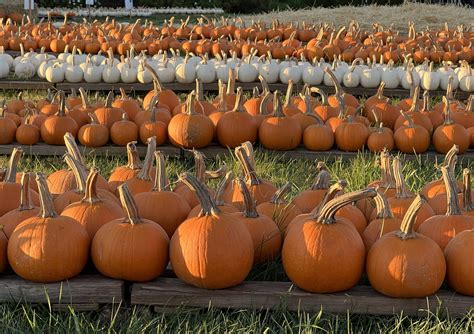 Alison Gannon Photography My Etta Wanted A Moody Session On The Beach