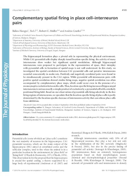 Pdf Complementary Spatial Firing In Place Cellinterneuron Pairs
