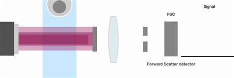 Flow Cytometry Animation