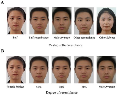 Average Female Faces