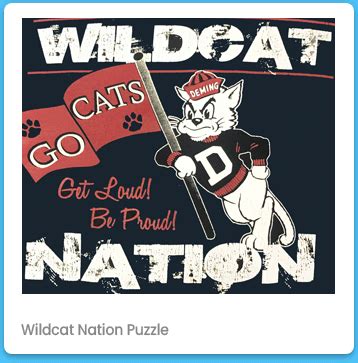 Deming Wildcats Anti Bullying Comics