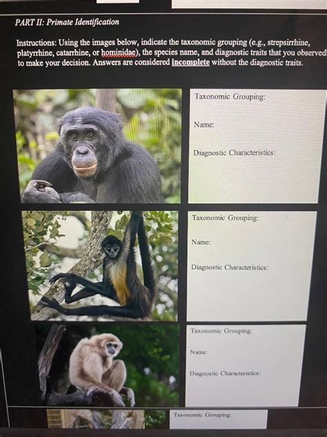 Solved Lab 4 Primate Identification Part I Primate Vs