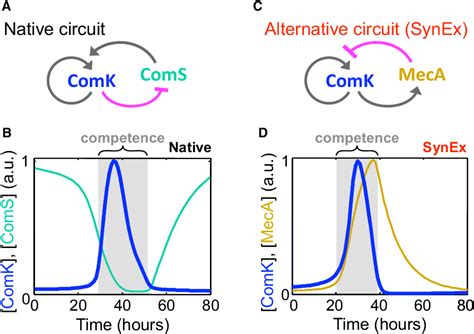 Figure 1 From Architecture Dependent Noise Discriminates Functionally
