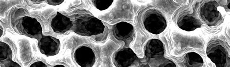 Advanced Assembly Materials International Ltd