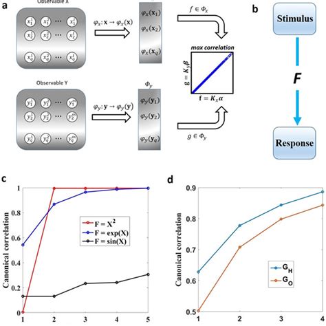 canonical correlation analysis a schematics of the cca workflow b