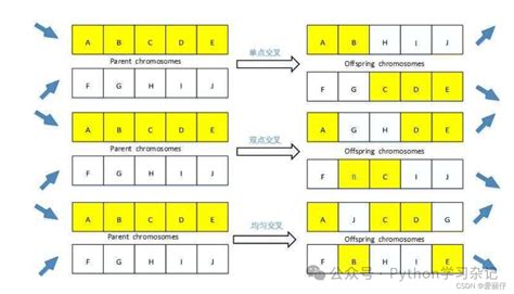 启发式算法与元启发式算法区别启发式算法和元启发式算法 Csdn博客 启发式算法与元启发式算法区别启发式算法和元启发式算法 Csdn博客