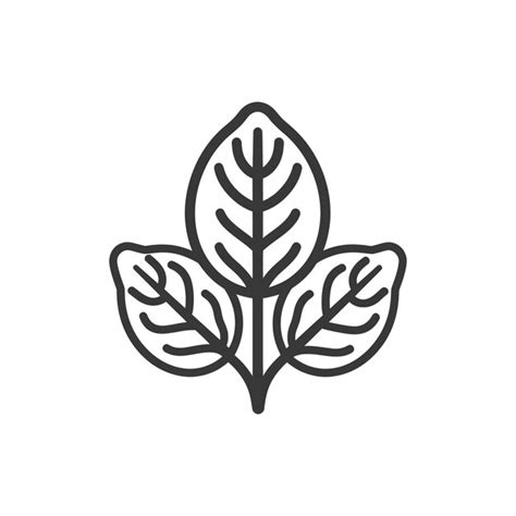 Premium Vector Three Leaf Outline Graphic On White Background