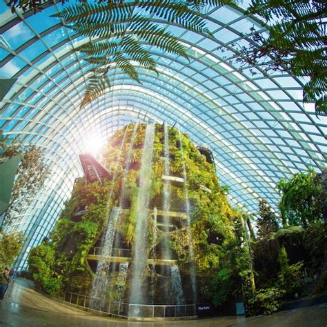 Gardens By The Bay Flower Dome And Cloud Forest Tour