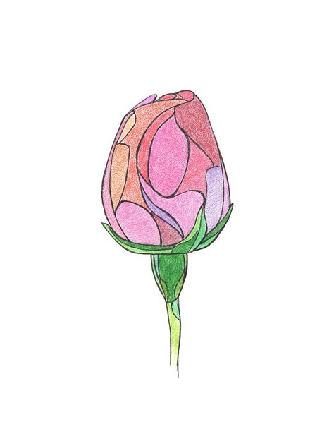 Rose Zeichnung Rosa Kostenloses Bild Auf Pixabay Pixabay