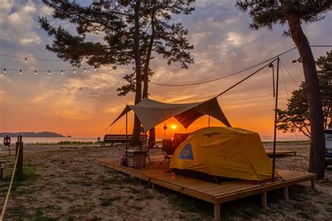 디너의여왕 충남 태안 태안노을숲캠핑장 47차