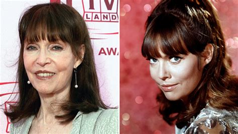 Barbara Feldon Get Smart Get Smart Barbara Feldon Recalls The Classic