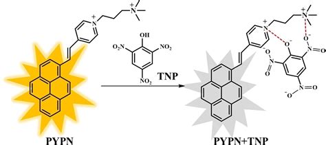 Pyrene‐based Fluorescent Probe For Rapid And Sensitive Detection Of 24