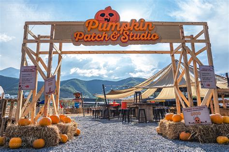 Pumpkin Dash Monterrey