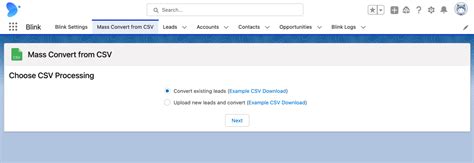 Convert Leads From The Csv File Blink
