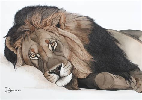 Mufasa African Lion Painting By Dominique Janssens Deau Saatchi Art