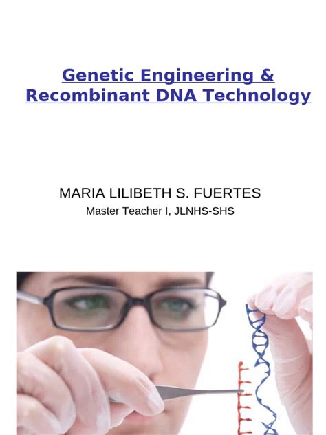 Genetic Engineering Recombinant Dna Technology Pdf Ploidy Genetically Modified Organism