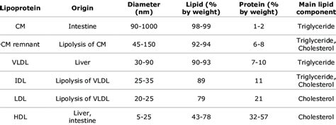 The Composition Of Main Lipoprotein Subclasses In Humans Modified From