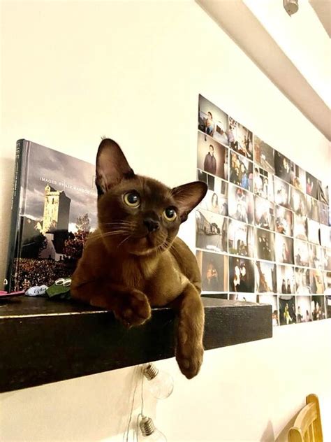 Look Before You Leap