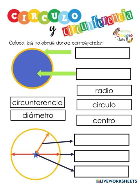 La Diferencia Entre Circulo Y Circunferencia 4to