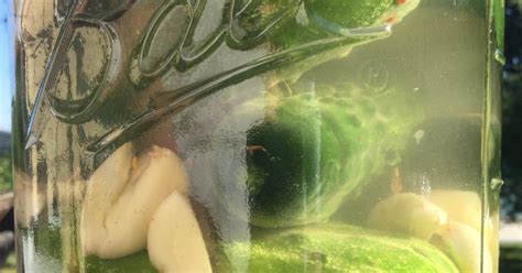 Wild Fermented Dill Pickles Greener Postures Wild Fermented Dill Pickles Greener Postures