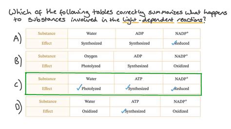 Light Dependent Reaction