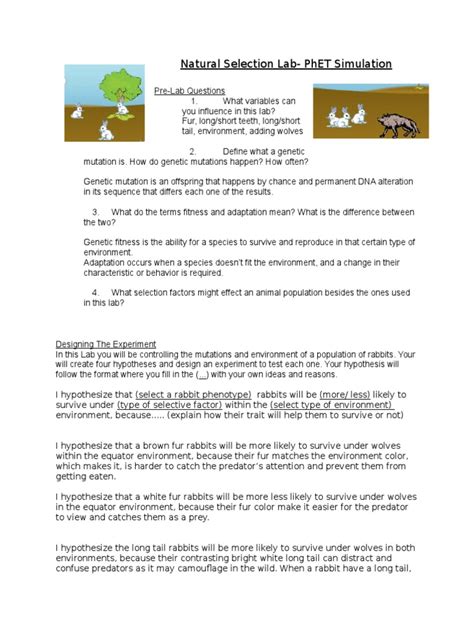 Natural Selection Simulation Modeling Natural Selection Evolution Lab