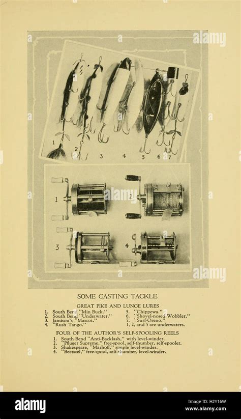 A Detailed Guide On The Pike Species Illustrated With Photographs