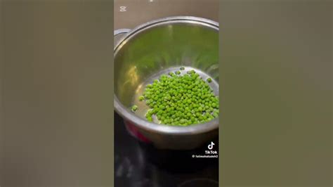 رز بزاليا 😋 Youtube