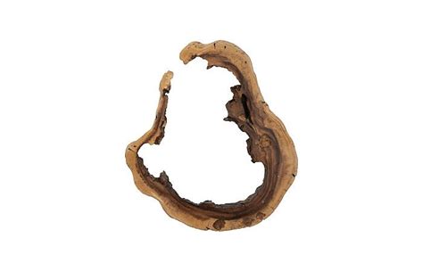 Freeform Wall Decor Chamcha Wood Natural