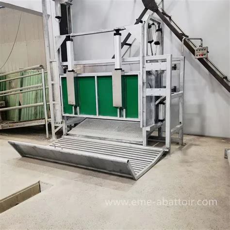 Living Cattle Fixed Stunning Box For Killing Cattlecow Slaughterhouse