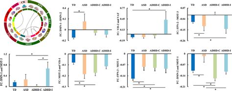 Differences In Large Scale Functional Network Connectivity Fnc In